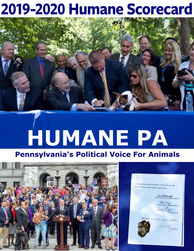 Humane PA | Scorecards